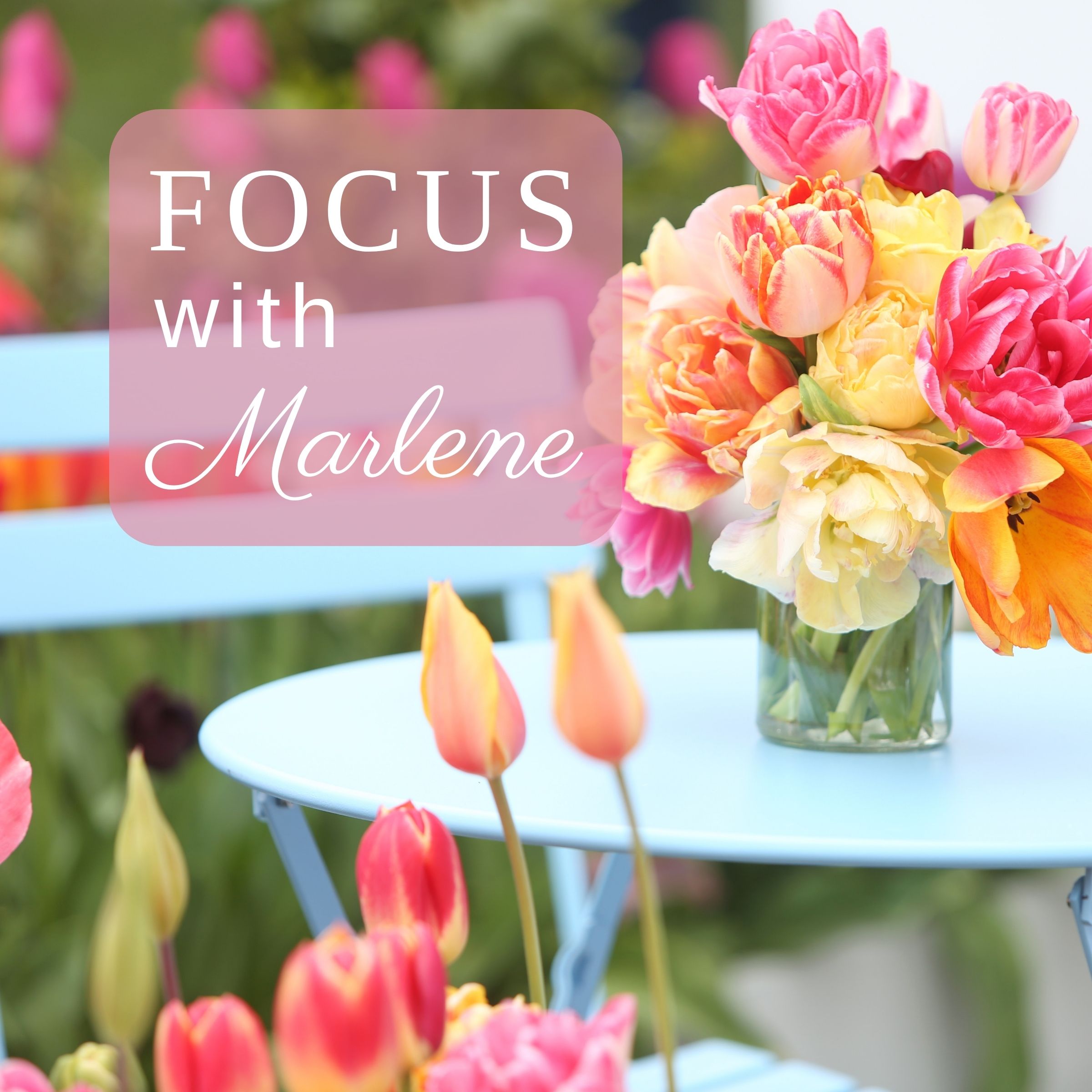 Be Still, Be Quiet, and Listen | Focus With Marlene